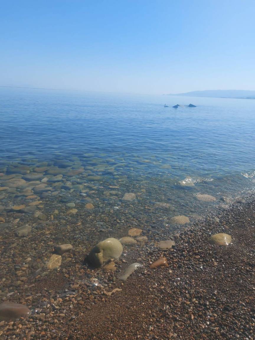 Ferienwohnung ∙ 2 Schlafzimmer ∙ 4 Gäste - Acquedolci