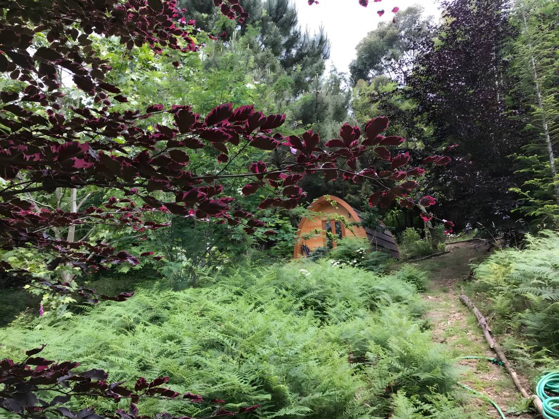 50 M² Chalet ∙ 1 Bedroom ∙ 4 Guests - Ponte de Lima