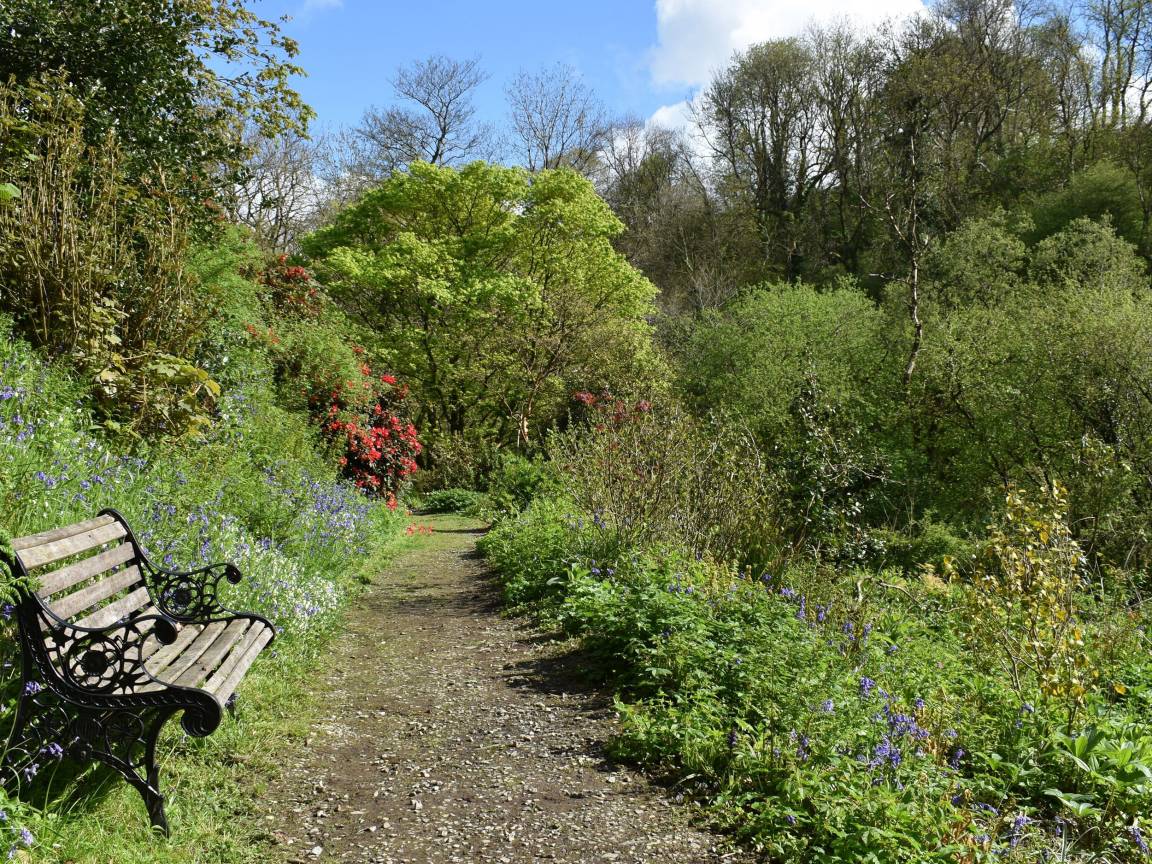 Cottage ∙ 2 Bedrooms ∙ 4 Guests - Pembrokeshire