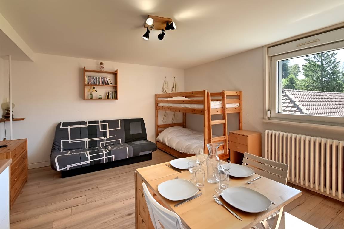 33 M² Appartement ∙ 1 Chambre ∙ 4 Personnes - Lac de Longemer