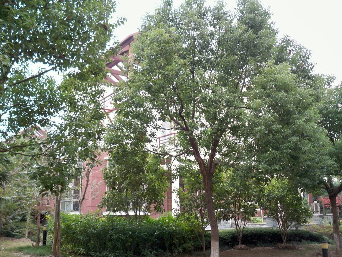 260 M² House ∙ 5 Bedrooms ∙ 8 Guests - Shanghai