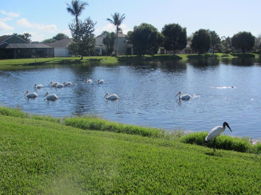 186 M² Villa ∙ 4 Bedrooms ∙ 8 Guests - Fort Myers Beach, FL