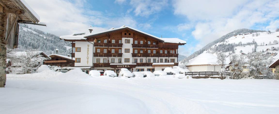 30 M² Hotel ∙ 1 Bedroom ∙ 4 Guests - Alpbach