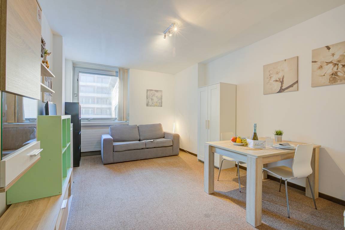 30 M² Studio ∙ 2 Personnes - Morcote