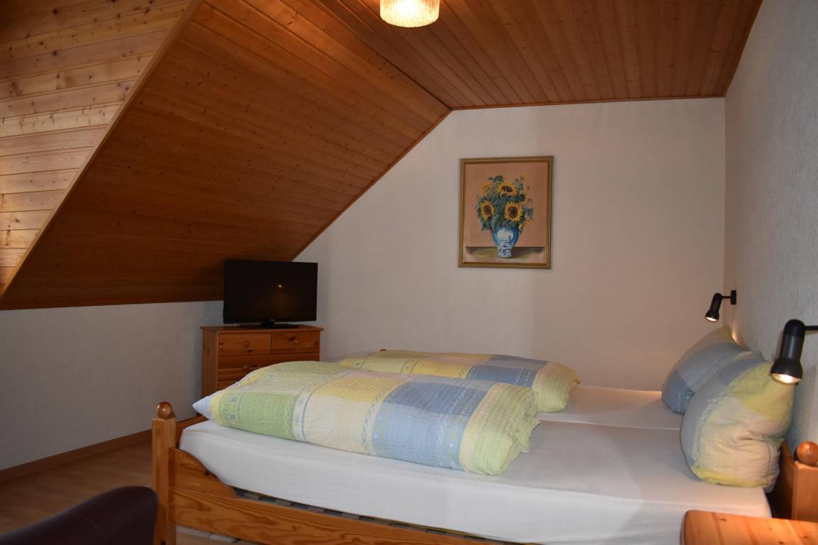 Double Room Shower \/ Wc - Weingut-gästehaus Hermes-lex - Piesport