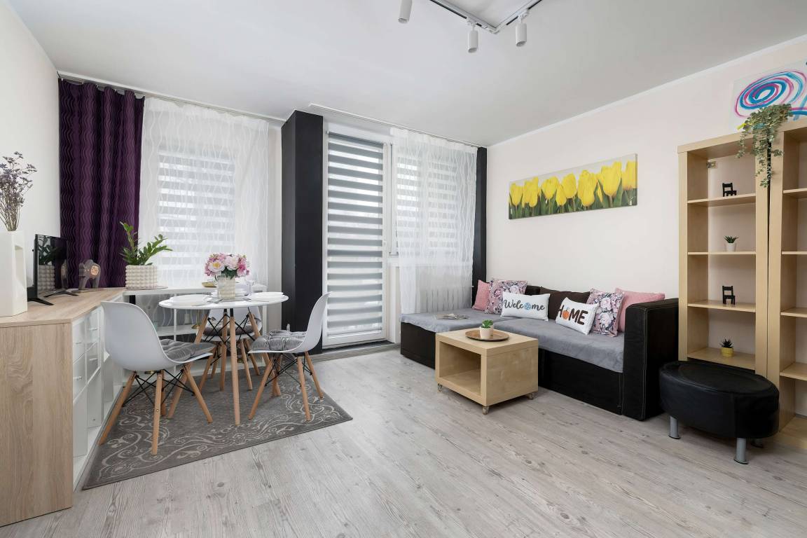 31 M² Apartament Typu Studio ∙ 2 Gości - Katowice