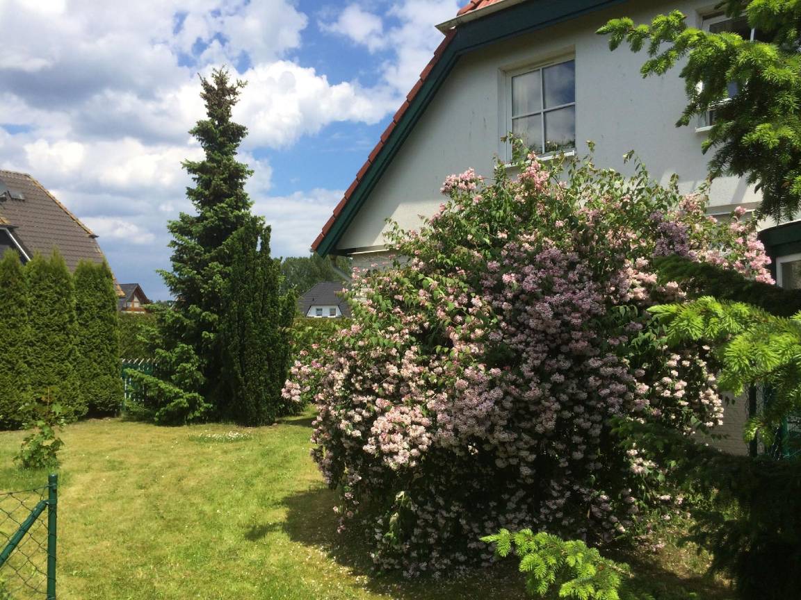 65 M² Ferienwohnung ∙ 2 Schlafzimmer ∙ 4 Gäste - Trassenheide