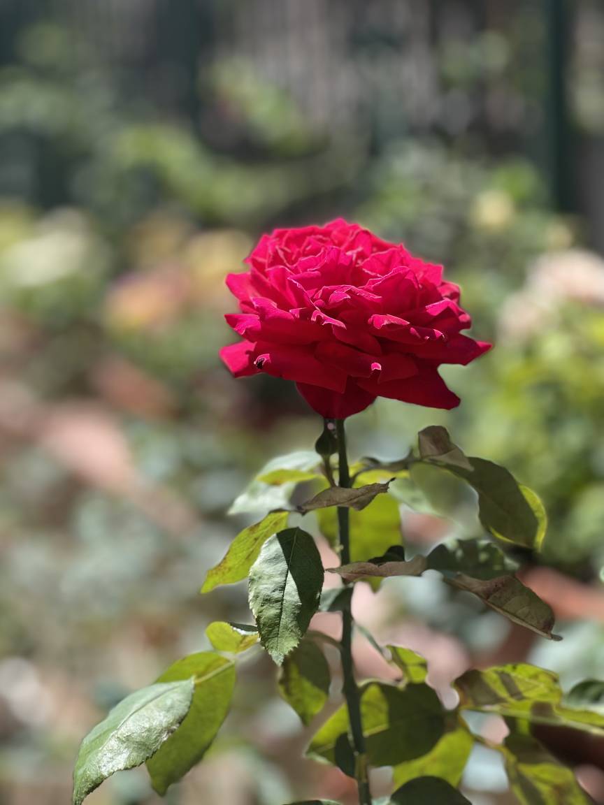 50 M² Apartment ∙ 1 Bedroom ∙ 4 Guests - Civitavecchia