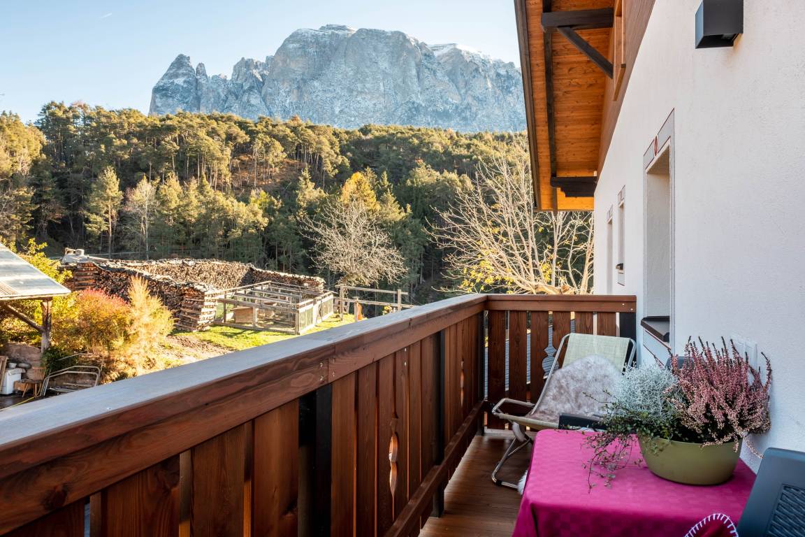 28 M² Apartment ∙ 1 Bedroom ∙ 2 Guests - Welschnofen