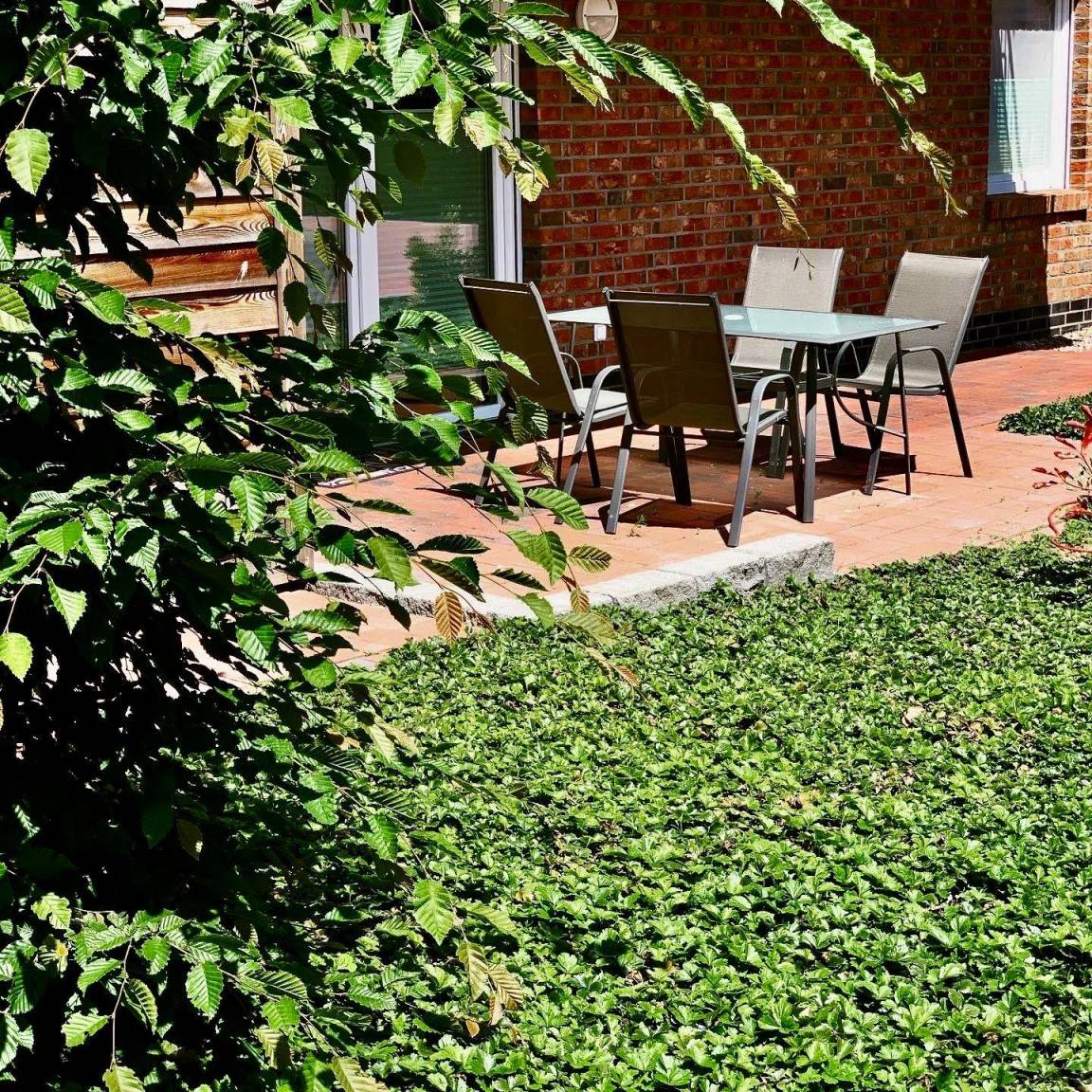 75 M² Ferienwohnung ∙ 2 Schlafzimmer ∙ 4 Gäste - Friesoythe