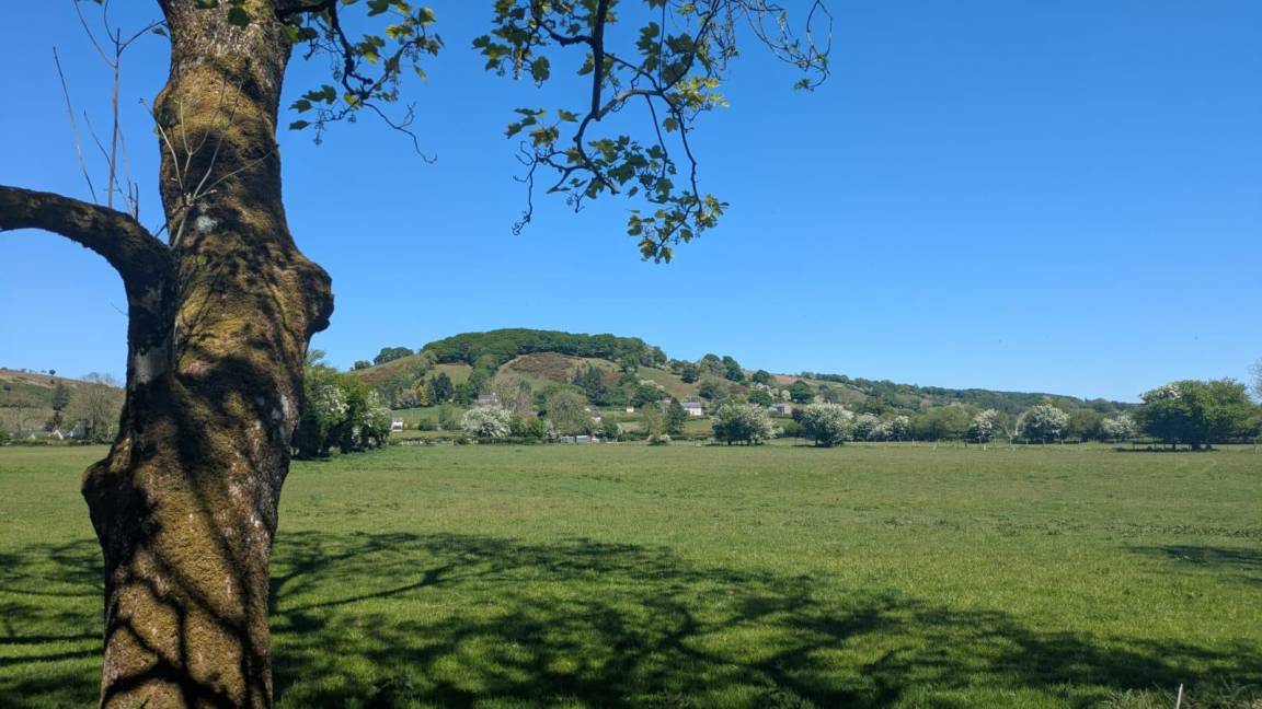 40 M² Cabin ∙ 1 Bedroom ∙ 2 Guests - North Wales