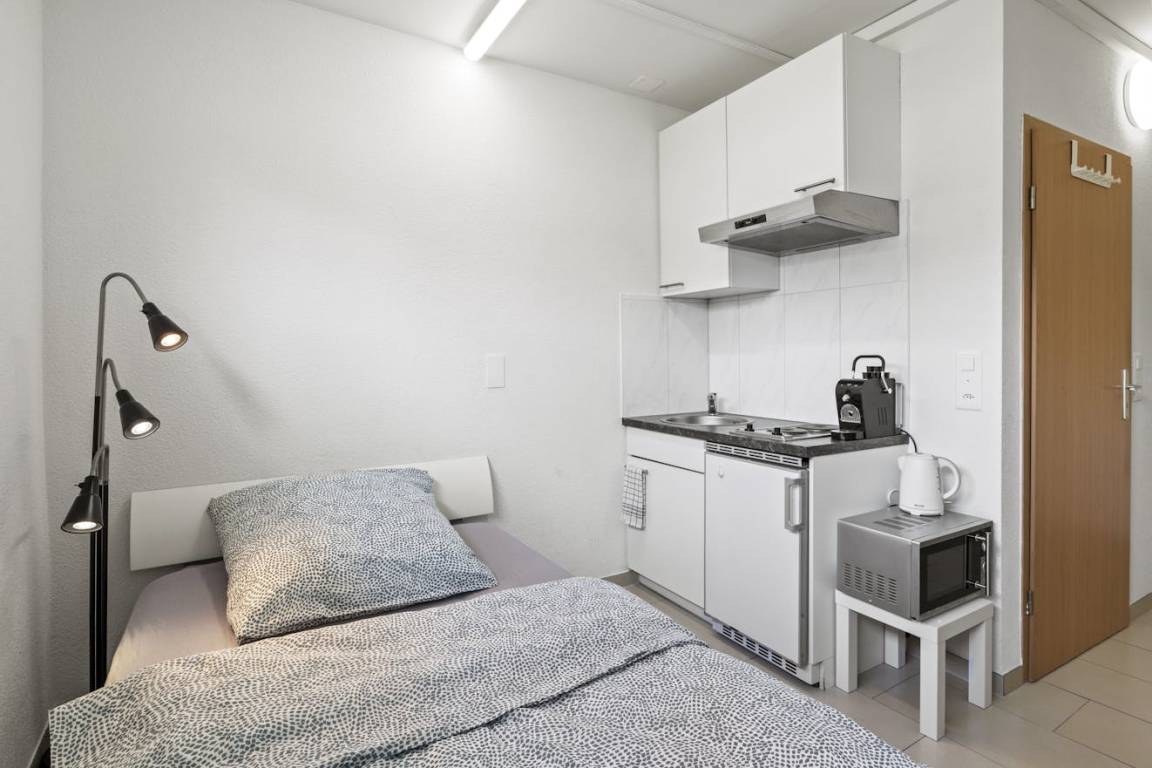 17 M² Apartamento ∙ 1 Habitación ∙ 1 Huésped - Basel