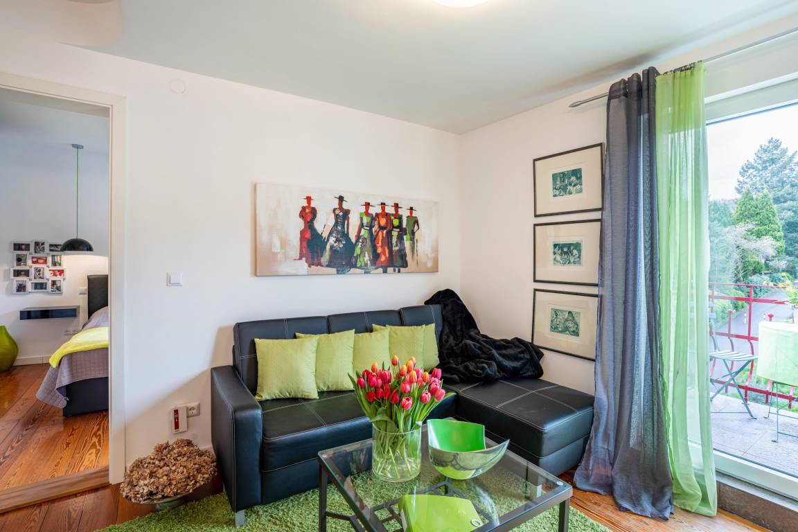 55 M² Apartamento ∙ 1 Habitación ∙ 2 Huéspedes - Baden-Baden