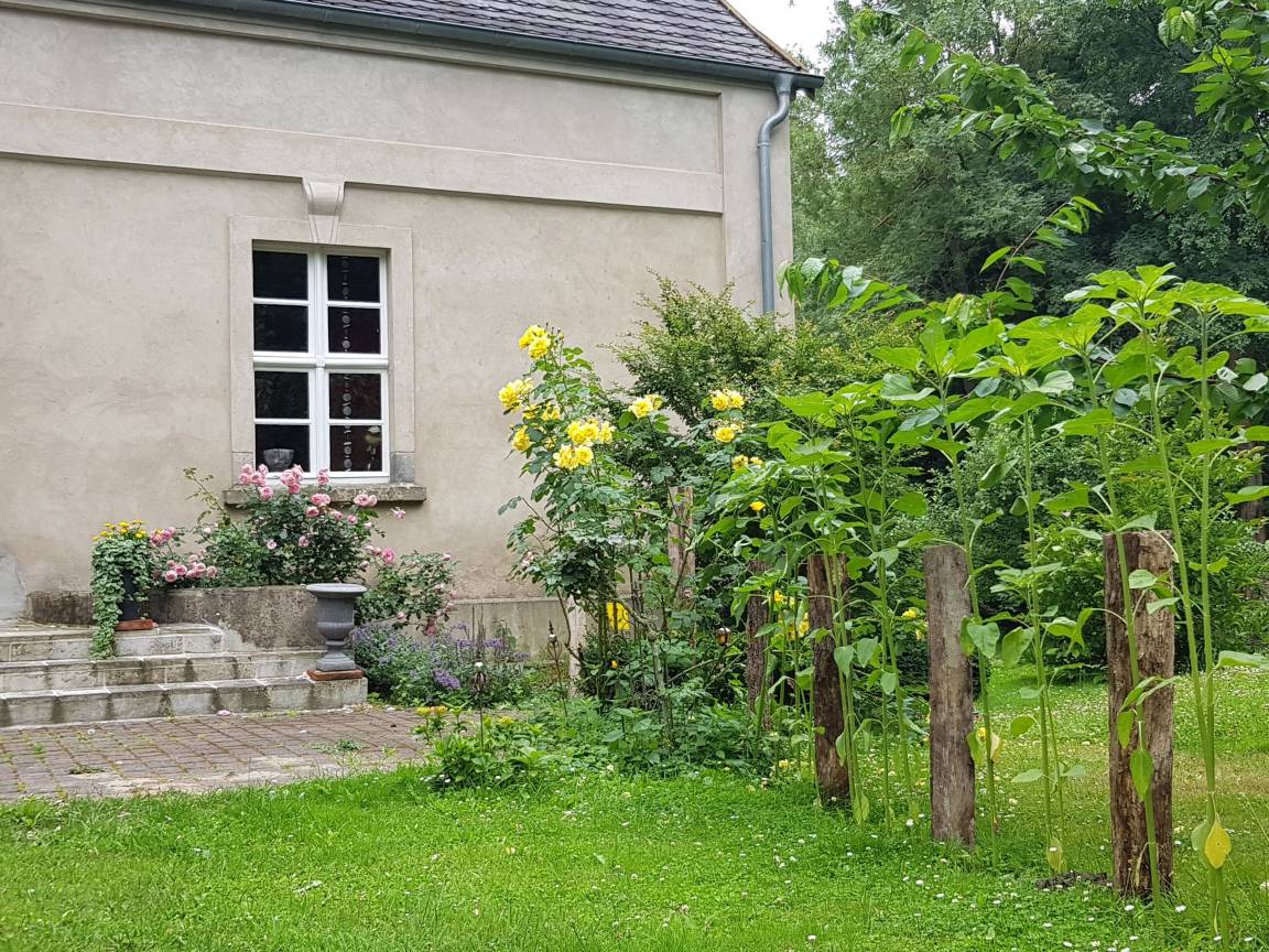 68 M² Ferienwohnung ∙ 1 Schlafzimmer ∙ 3 Gäste - Dömitz