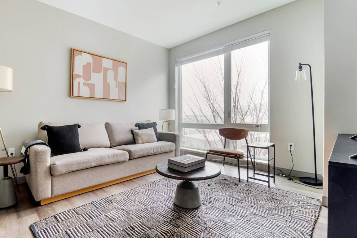 60 M² Apartment ∙ 1 Bedroom ∙ 2 Guests - Boston, MA