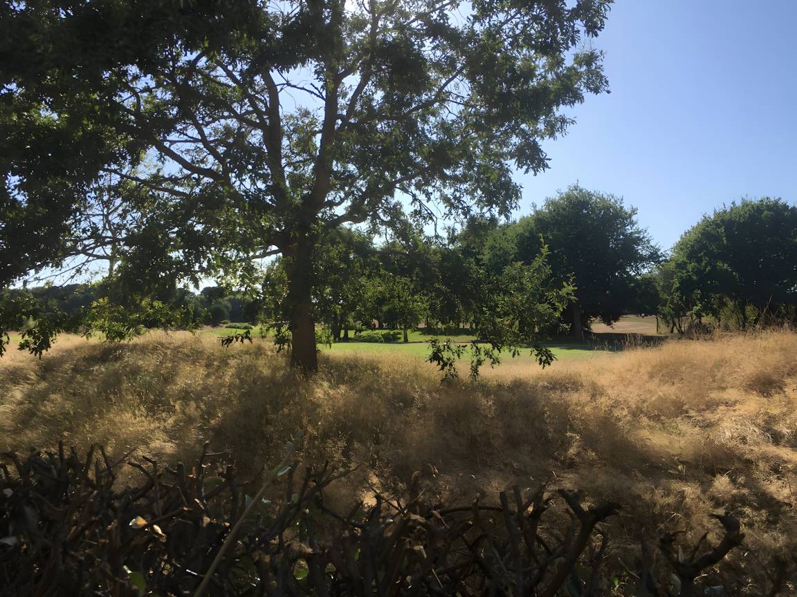 29 M² Ferienwohnung ∙ 1 Schlafzimmer ∙ 4 Gäste - La Plaine-sur-Mer