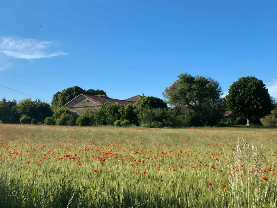 130 M² Cottage ∙ 4 Bedrooms ∙ 10 Guests - Crest