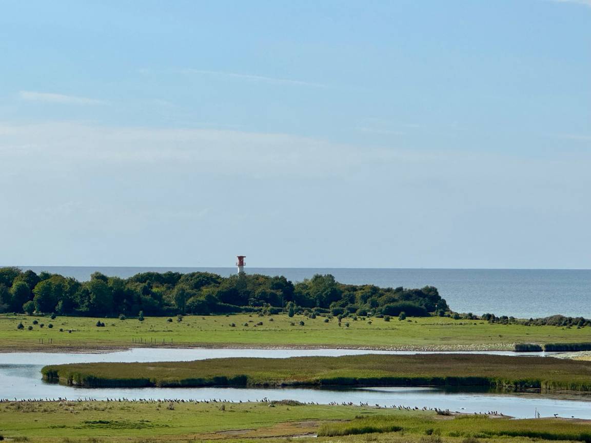 45 M² Apartment ∙ 1 Bedroom ∙ 4 Guests - Heiligenhafen