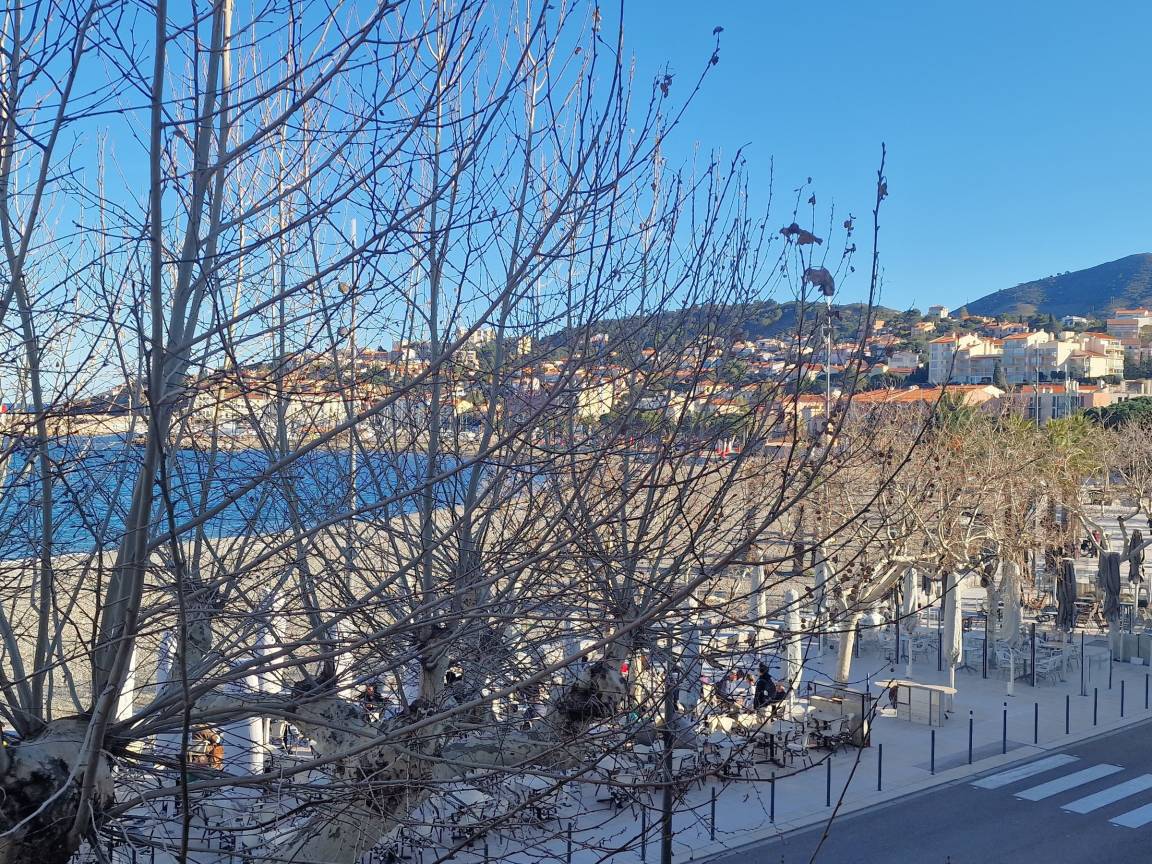 40 M² Appartement ∙ 2 Chambres ∙ 4 Personnes - Banyuls-sur-Mer