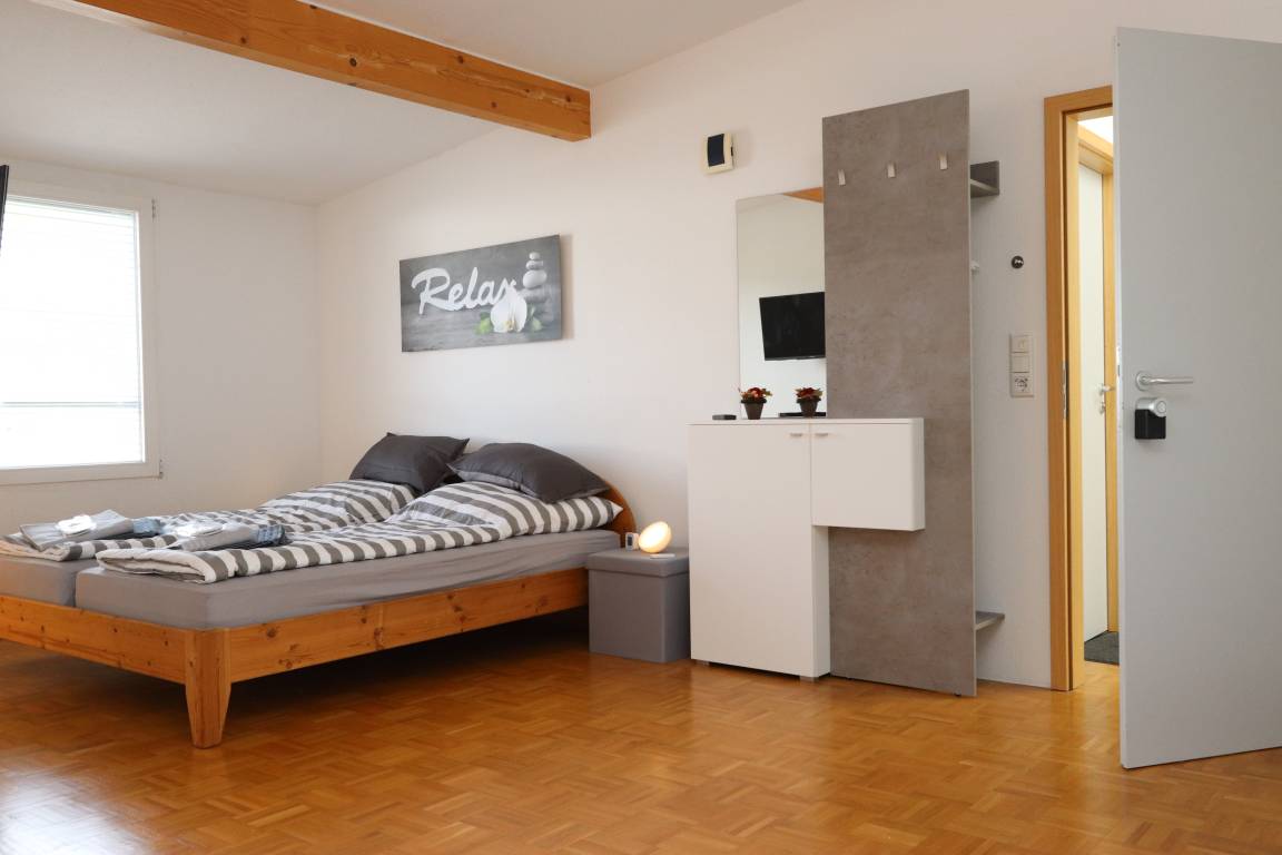 50 M² Apartment ∙ 3 Guests - Konstanz