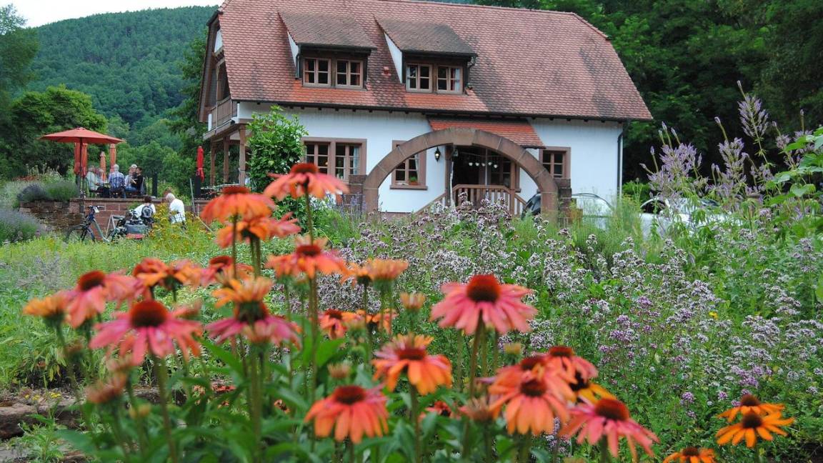 70 M² Apartment ∙ 1 Bedroom ∙ 2 Guests - Wissembourg