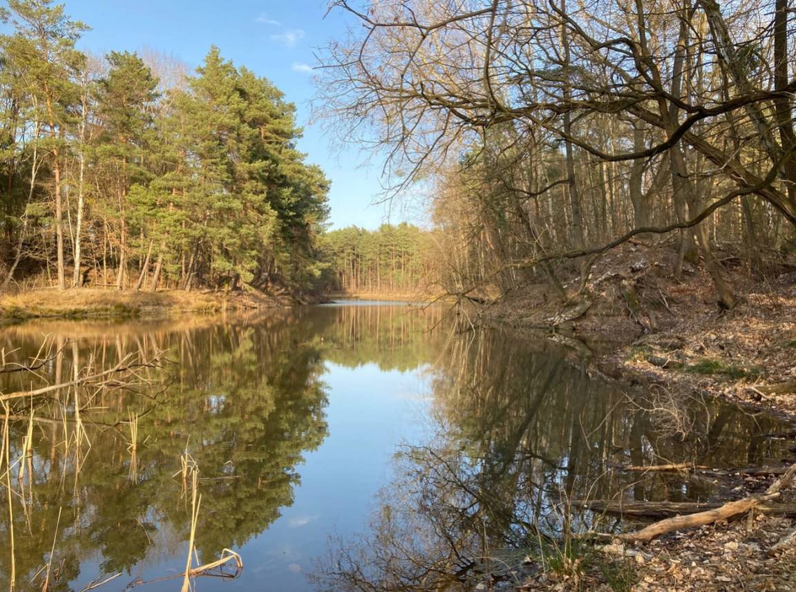 30 M² Ferienhaus ∙ 1 Schlafzimmer ∙ 4 Gäste - Coswig (Anhalt)