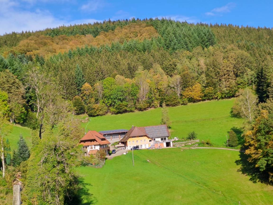 60 M² Ferienwohnung ∙ 1 Schlafzimmer ∙ 3 Gäste - Wolfach