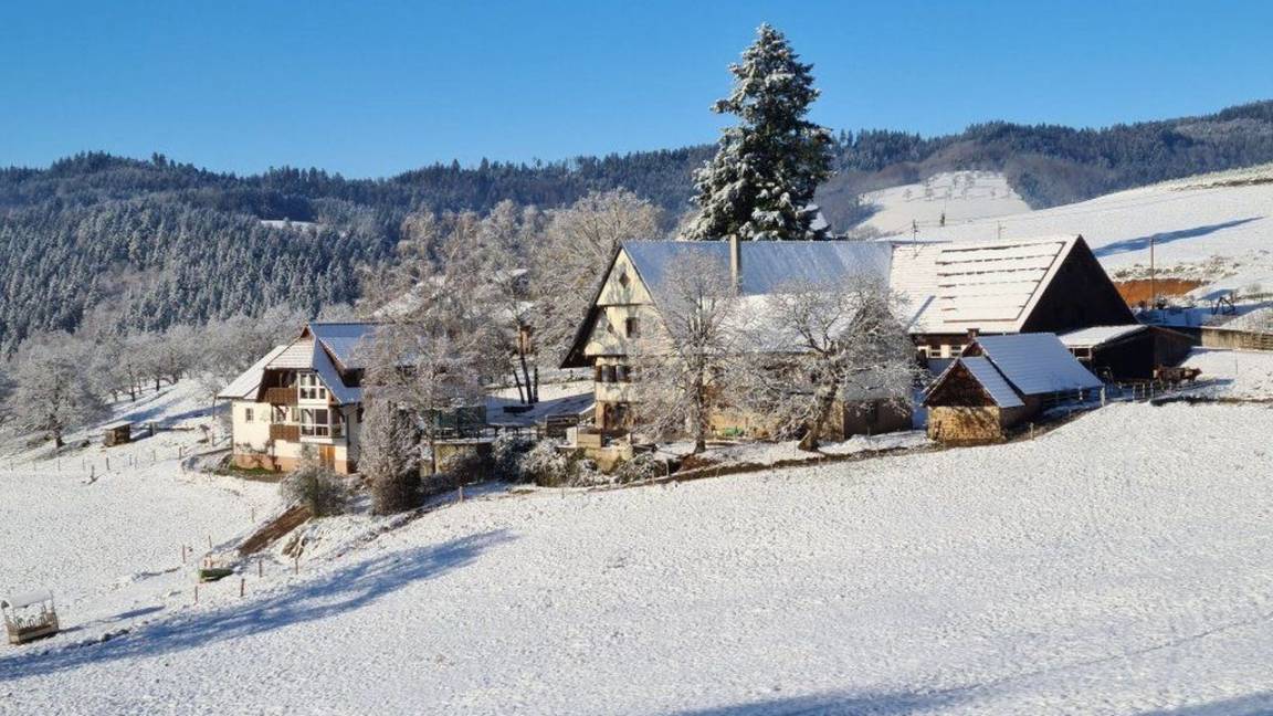 150 M² Ferienwohnung ∙ 2 Schlafzimmer ∙ 3 Gäste - Schwarzwald