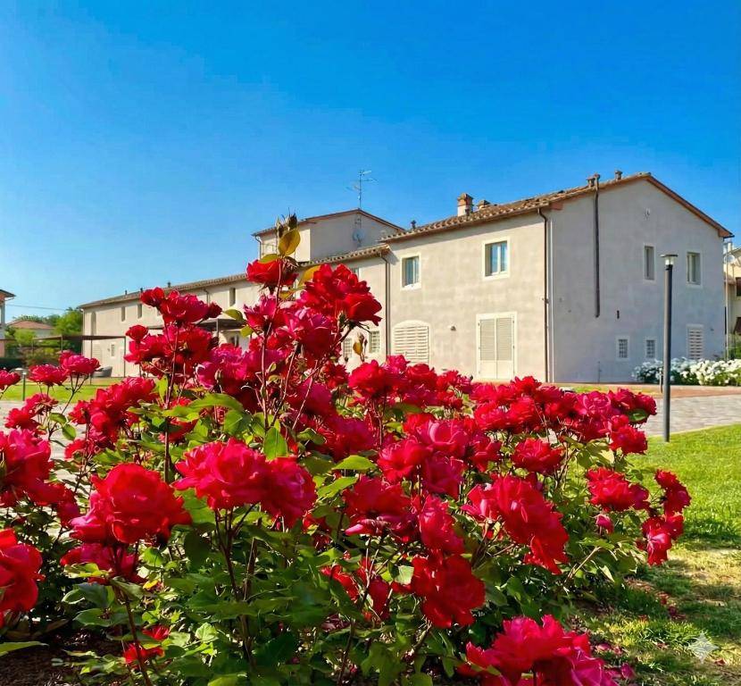 Farmhouse ∙ 1 Bedroom ∙ 4 Guests - Pistoia