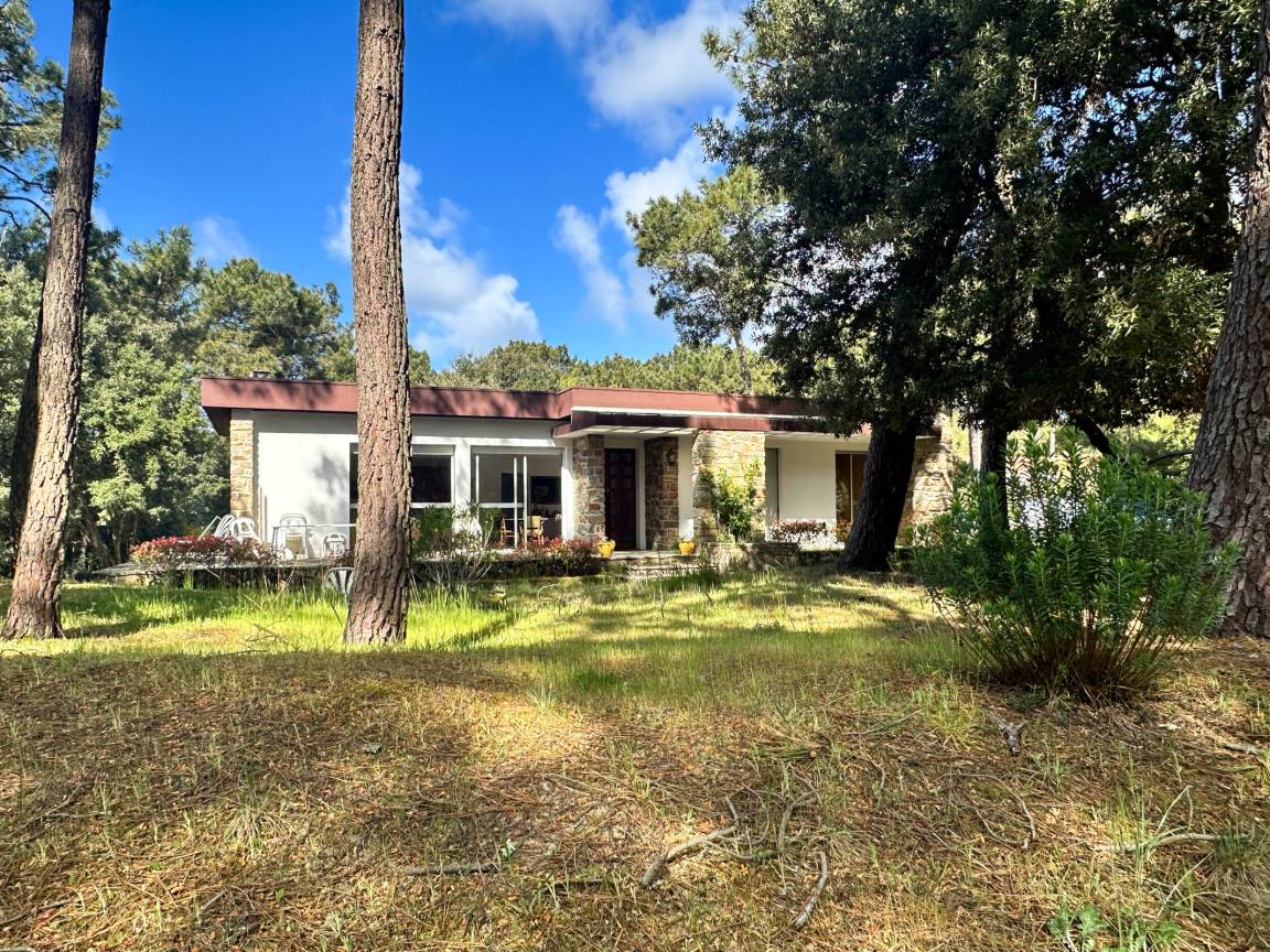 Villa ∙ 3 Habitaciones ∙ 6 Huéspedes - La Palmyre