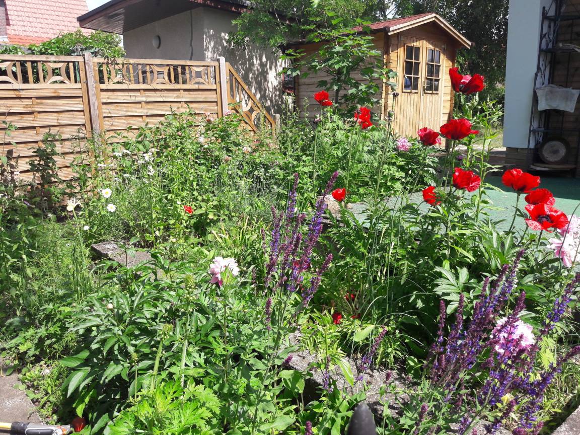 40 M² House ∙ 1 Bedroom ∙ 2 Guests - Berlin