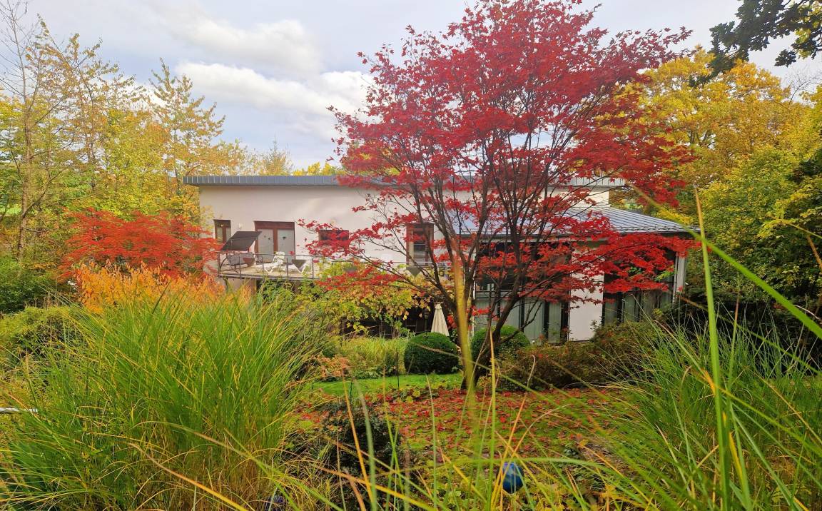 300 M² Ferienhaus ∙ 5 Schlafzimmer ∙ 10 Gäste - Frankenberg (Eder)