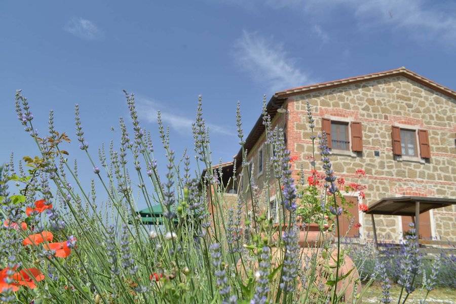57 M² Bauernhof ∙ 1 Schlafzimmer ∙ 2 Gäste - Pienza