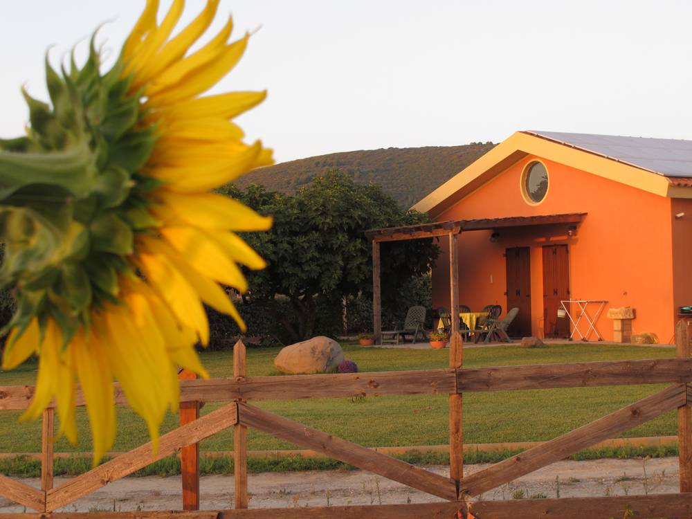 45 M² Farmhouse ∙ 1 Bedroom ∙ 6 Guests - Sardinia Island