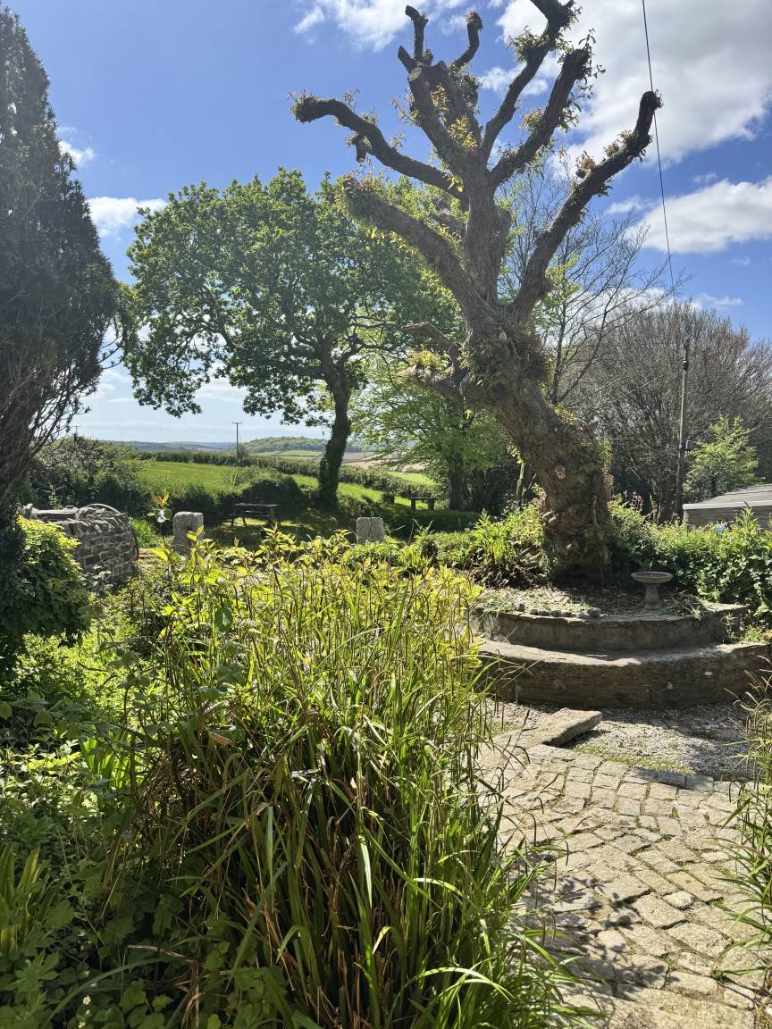 Cottage ∙ 1 Bedroom ∙ 2 Guests - Bodmin