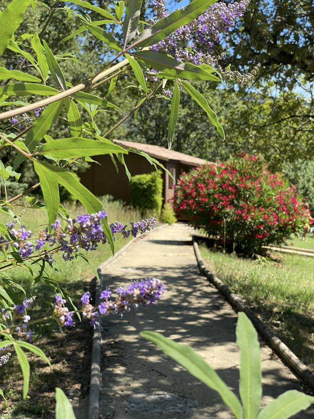 2000 M² Chalet ∙ 2 Camere Da Letto ∙ 68 Ospiti - Ardèche