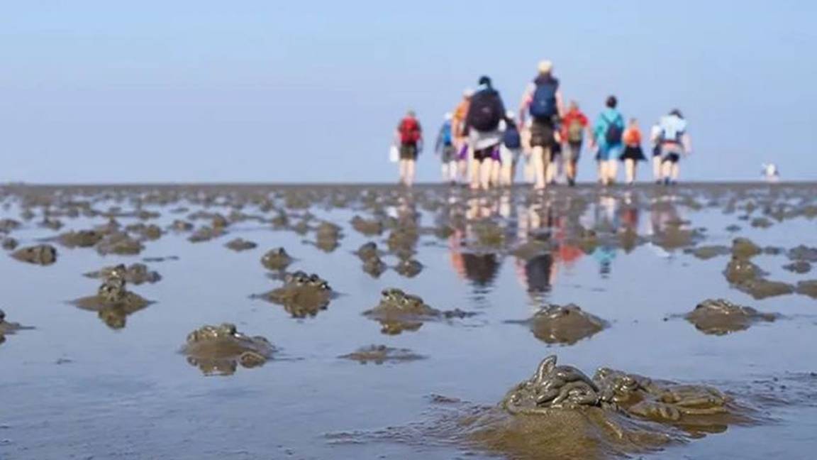 90 M² Appartement ∙ 2 Chambres ∙ 6 Personnes - Basse-Saxe