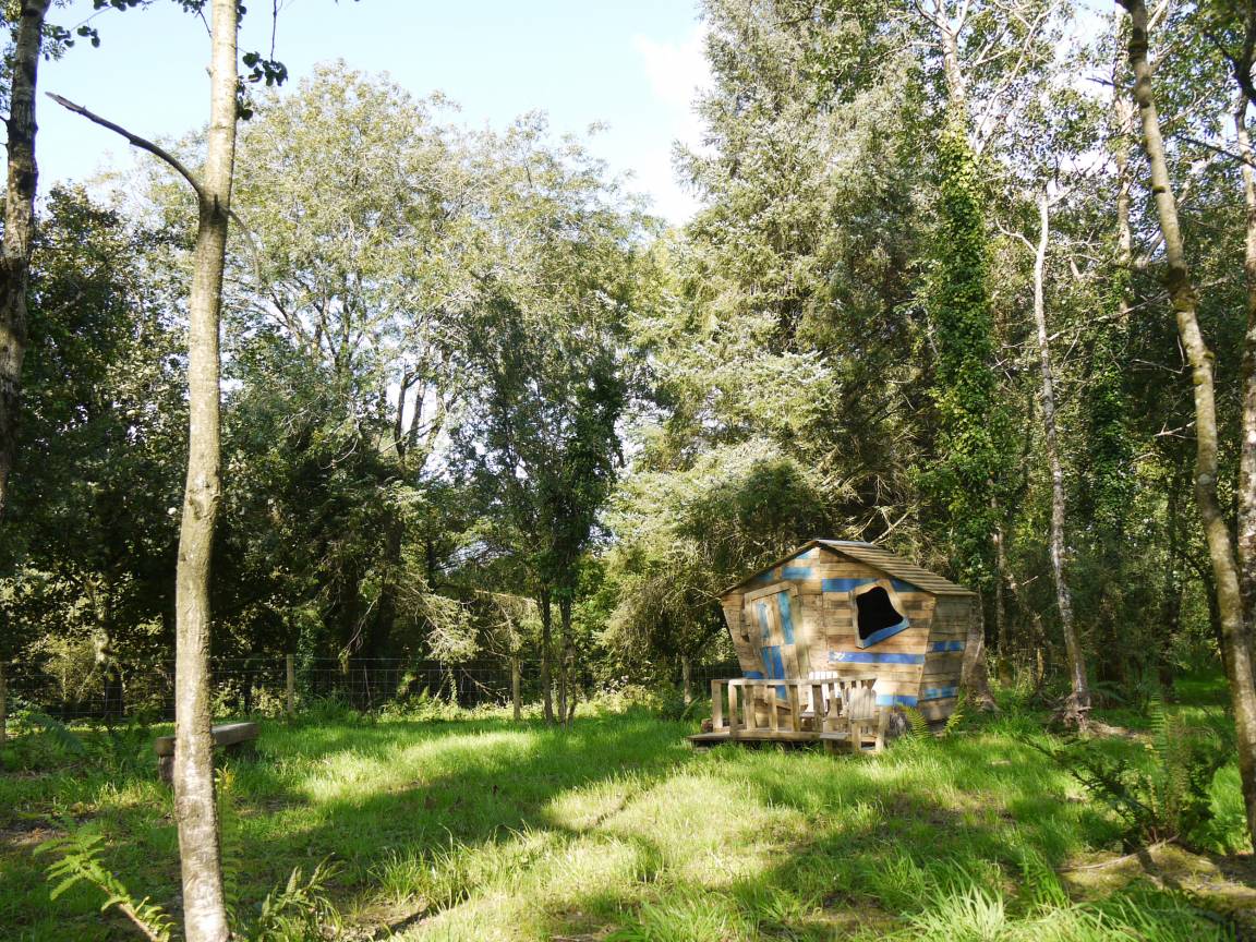 Cottage ∙ 1 Bedroom ∙ 2 Guests - Saint Dogmaels