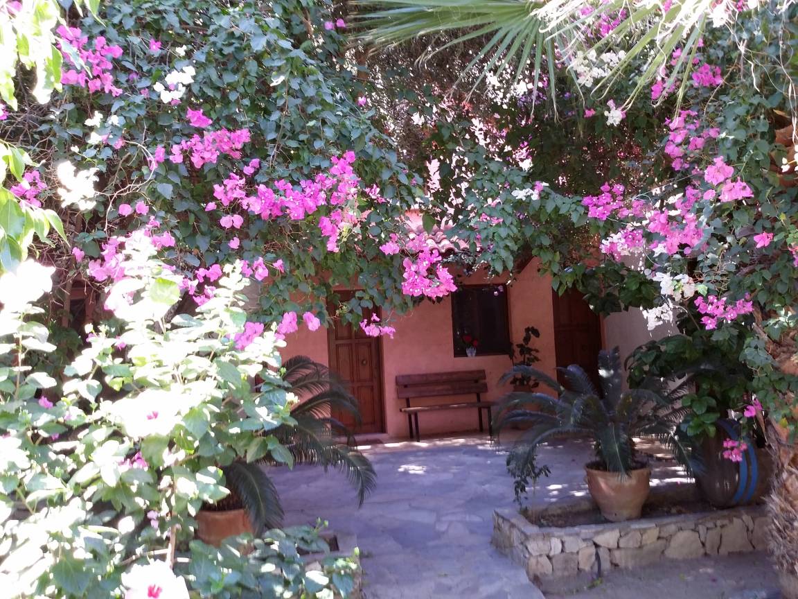 40 M² Cottage ∙ 1 Bedroom ∙ 2 Guests - Crete