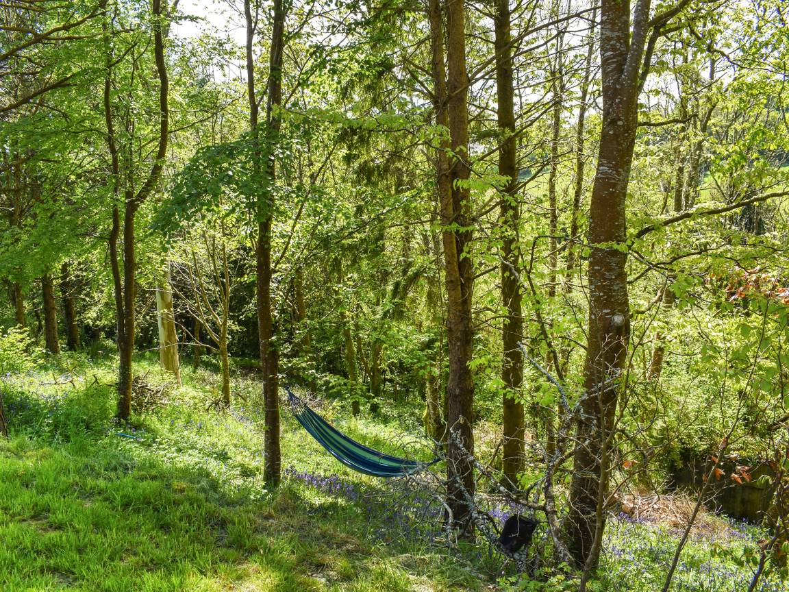 Cottage ∙ 1 Bedroom ∙ 2 Guests -