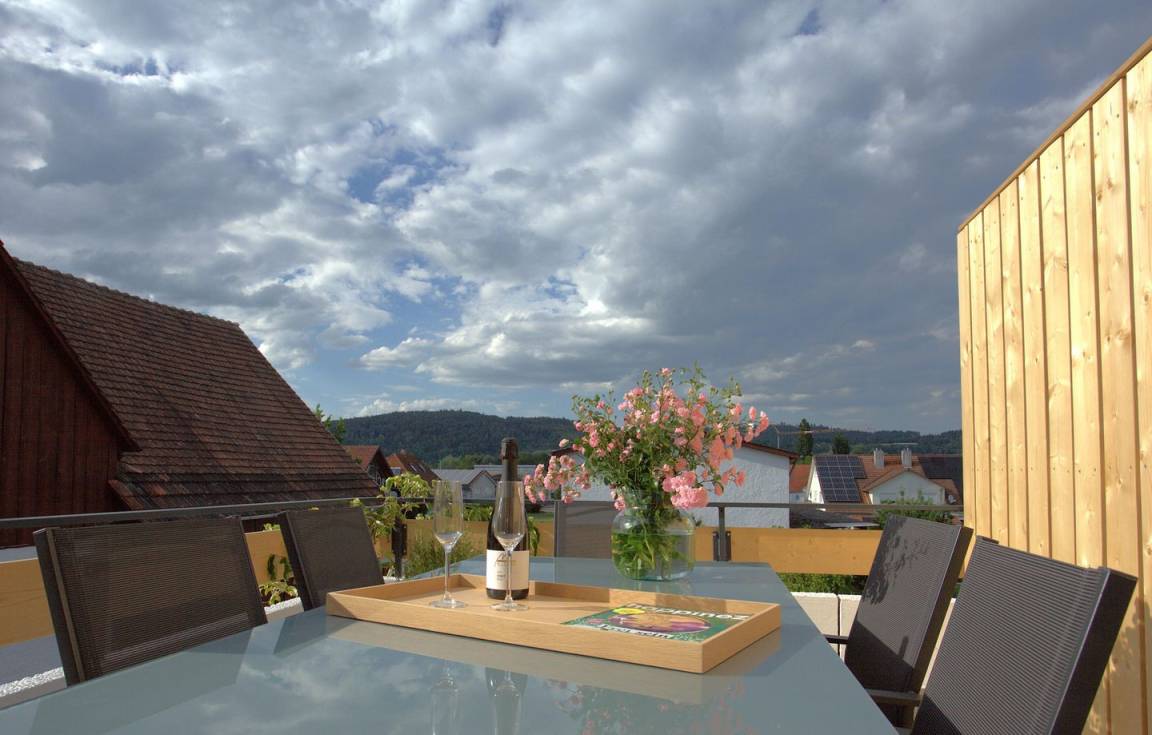 96 M² Ferienwohnung ∙ 3 Schlafzimmer ∙ 8 Gäste - Stockach
