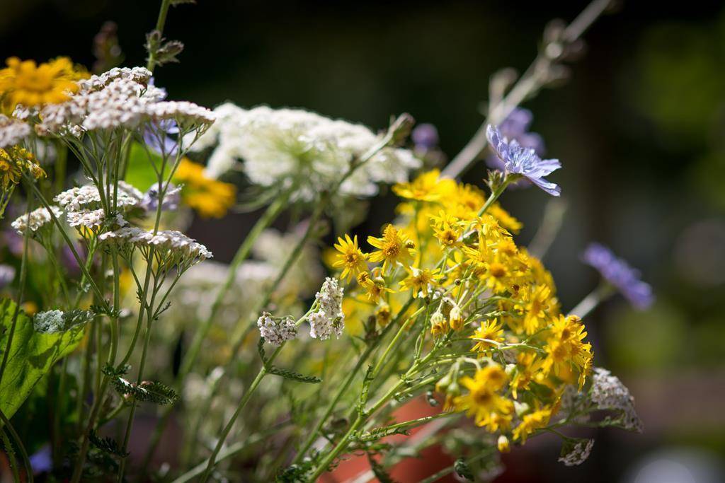 55 M² Appartamento Vacanza ∙ 1 Camera Da Letto ∙ 2 Ospiti - Nürburg