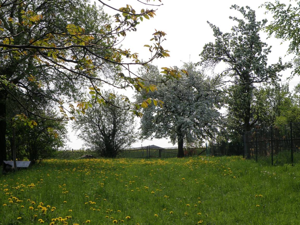 100 M² Cottage ∙ 3 Chambres ∙ 8 Personnes - Saalburg-Ebersdorf