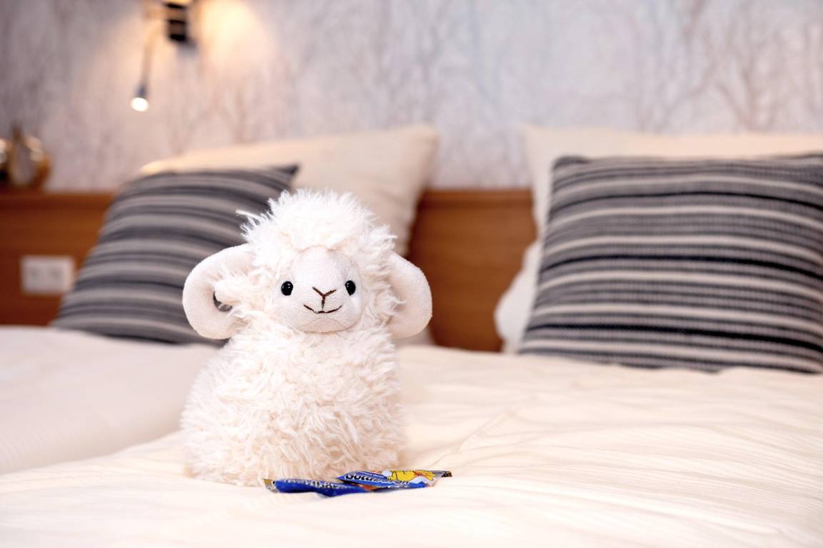 20 M² Hotel ∙ 1 Bedroom ∙ 3 Guests - Soltau