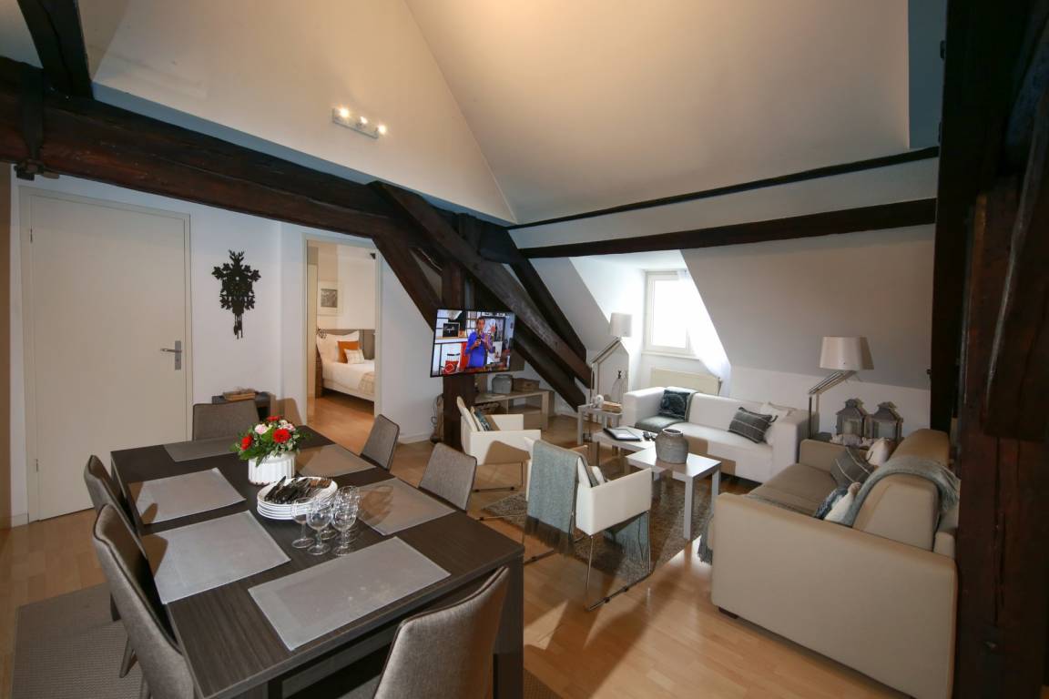 115 M² Appartement ∙ 3 Chambres ∙ 8 Personnes - Colmar