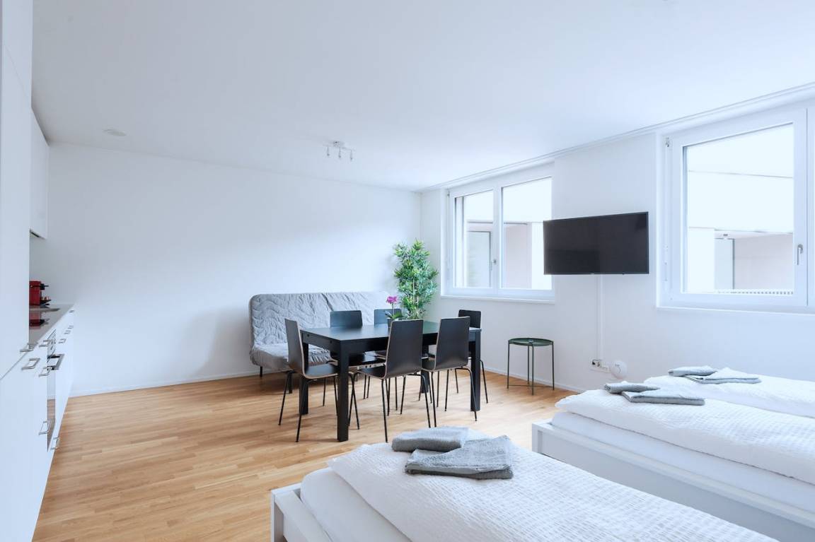 42 M² Appartement ∙ 1 Chambre ∙ 4 Personnes - Bâle