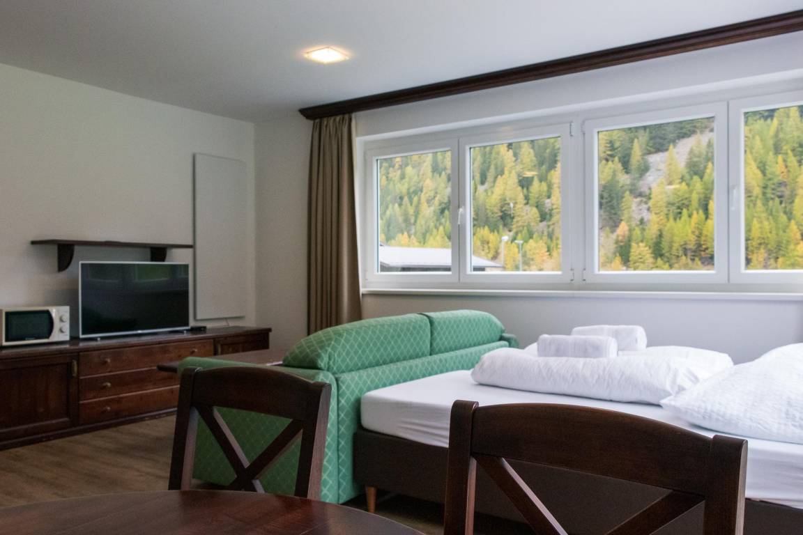 40 M² Studio ∙ 1 Schlafzimmer ∙ 4 Gäste - Zwieselstein