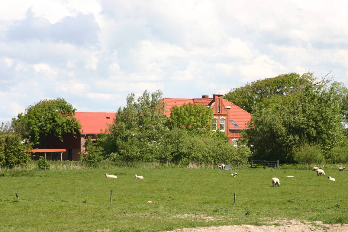 Studio ∙ 2 Gäste - Hooge