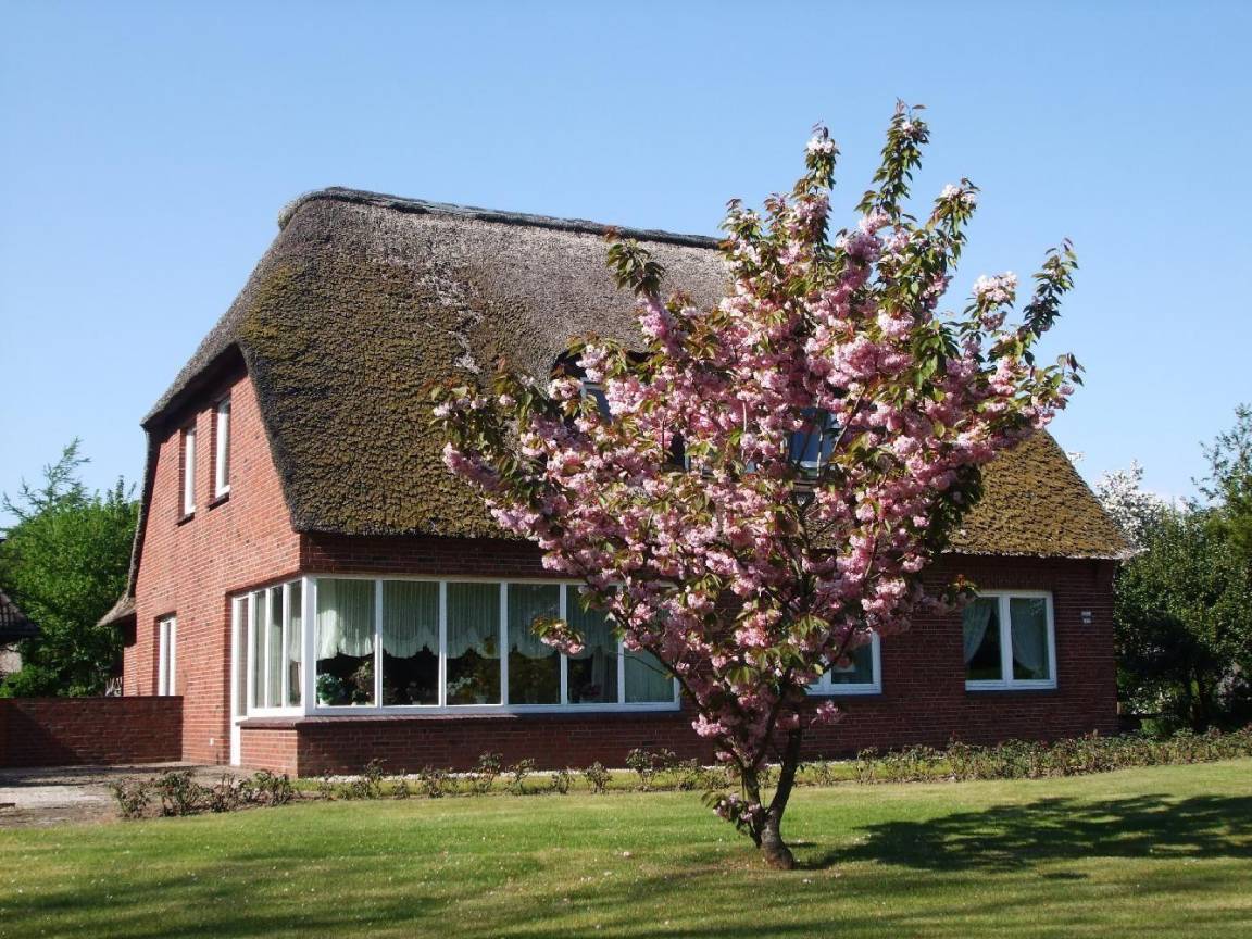 40 M² Ferienwohnung ∙ 1 Schlafzimmer ∙ 2 Gäste - Nieblum