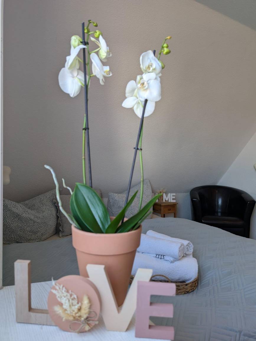 Hotel ∙ 2 Guests - Keitum